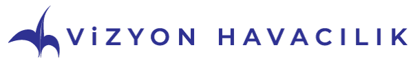 Vizyon